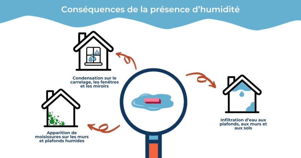 Diagnostic humidité : infos et prix | Bobex.be