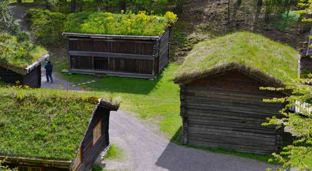 Groendak Opbouw: soorten, voordelen & kostprijs | Bobex.be